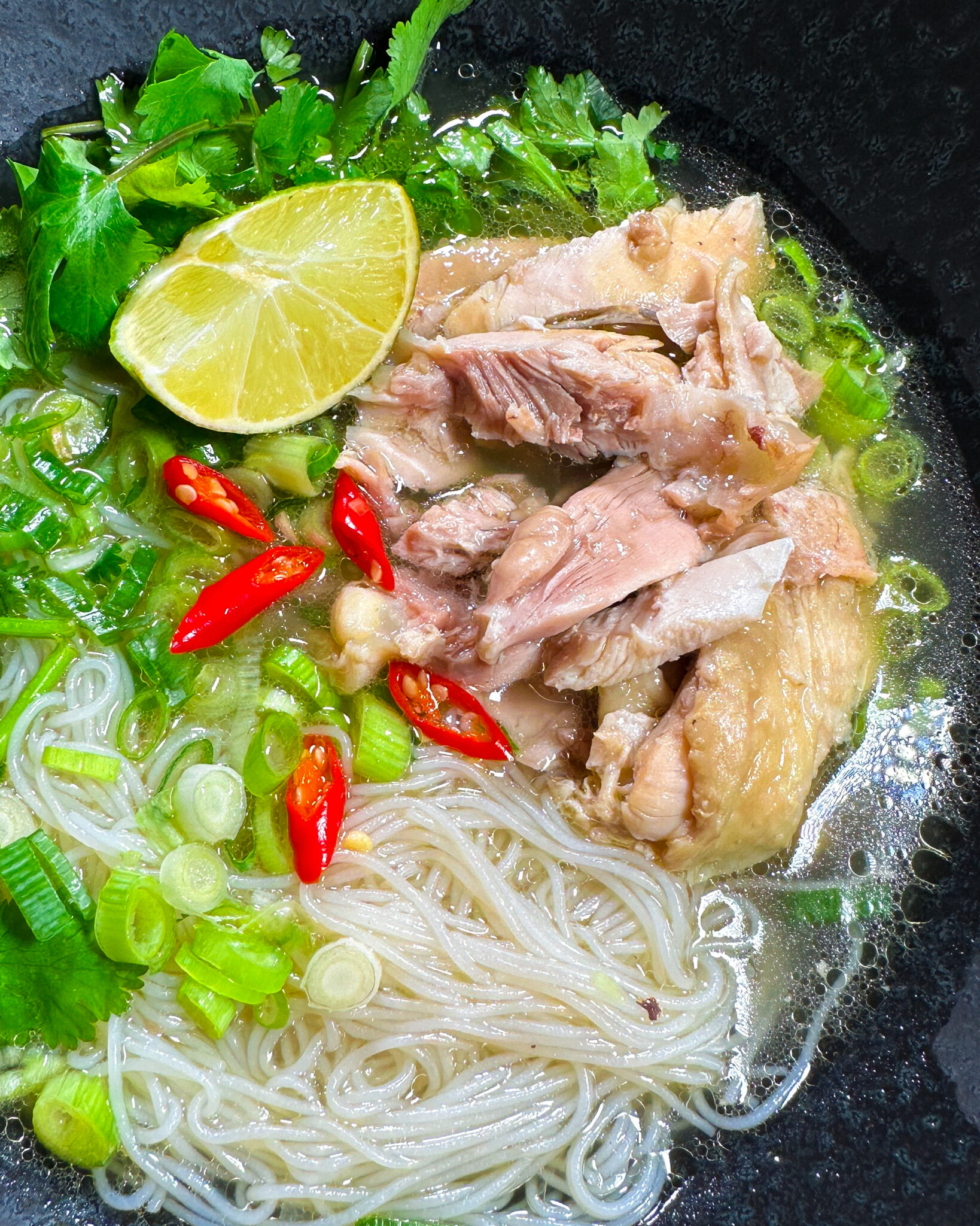 Instant Pot Vietnamese Chicken Pho (Phở Gà) – daigasikfaan